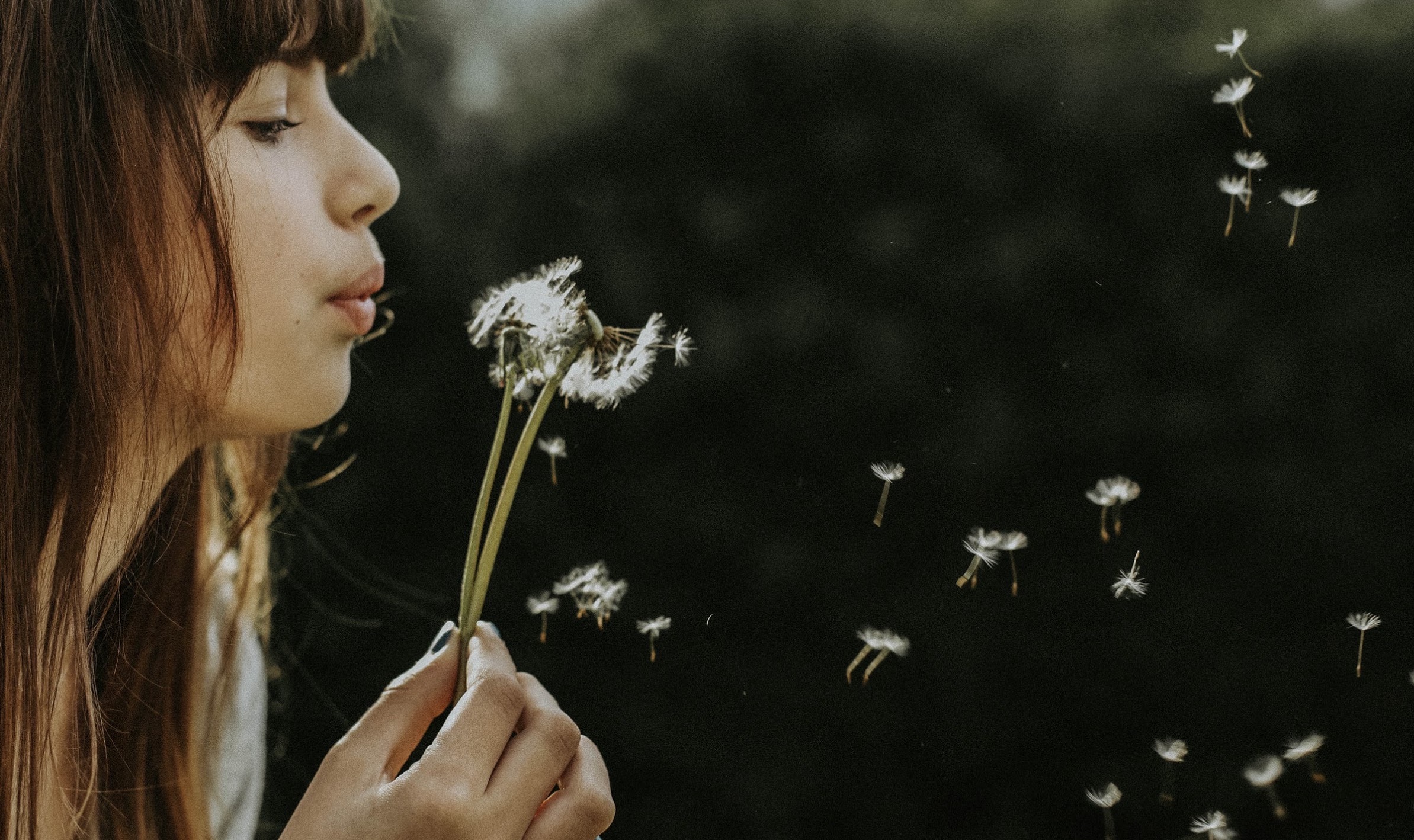 Funeral Paperwork in Australia: The Documents You Need After Someone ...