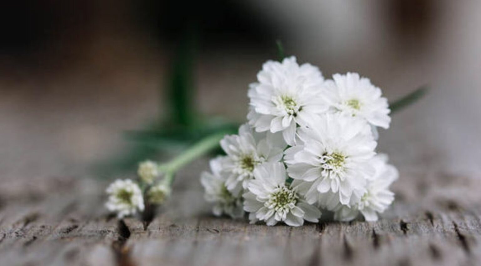 What is a Smart Funeral? The Future of Modern Farewells, 2025 ...